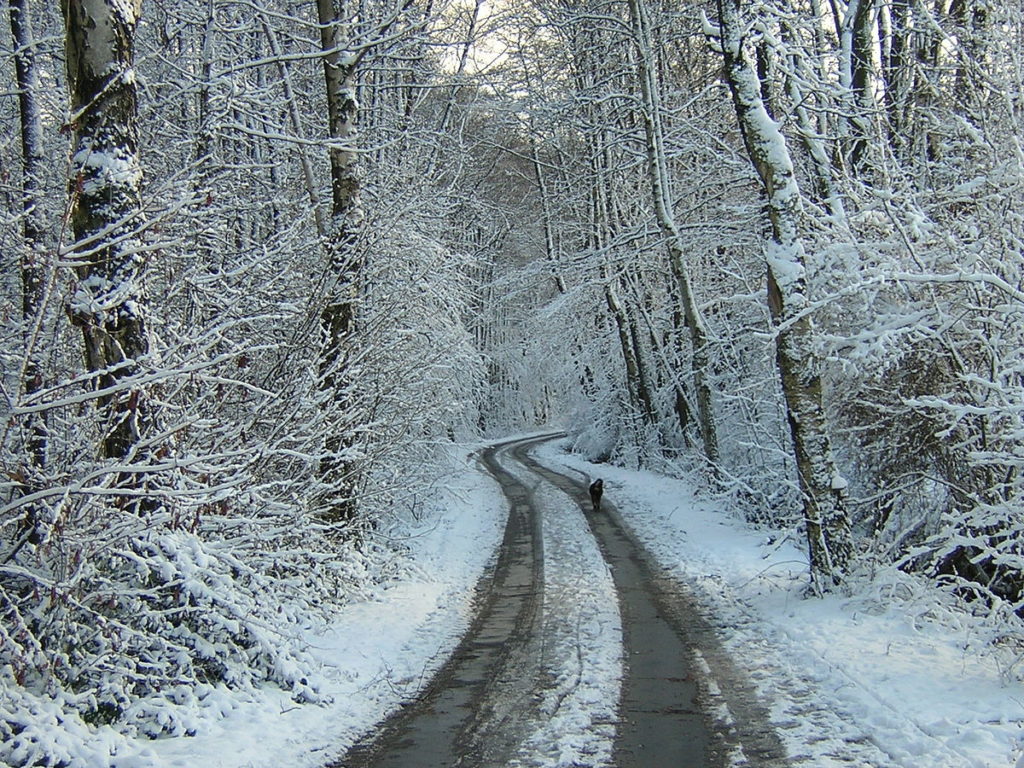 The Winter Season Creates Plenty of Dangers with Slips and Falls on Ice